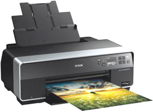 Epson R3000 - Epson Ink Cartridges